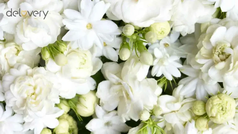 7 Bunga ini Cocok di Jadikan Sebagai Aromaterapi