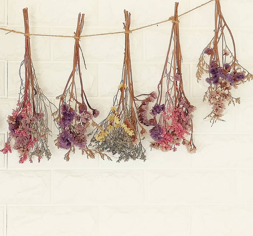 Cara Merawat Dried Flower Agar Tetap Cantik Meski Sudah Lama