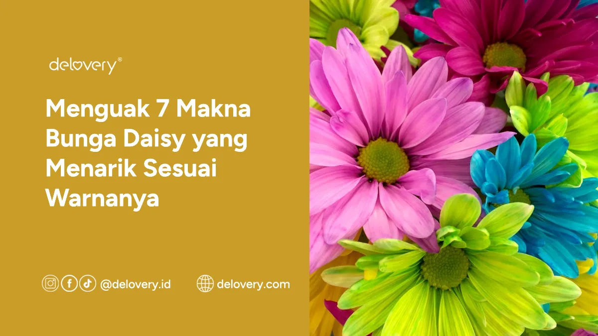 Menguak 7 Makna Bunga Daisy yang Menarik Sesuai Warnanya