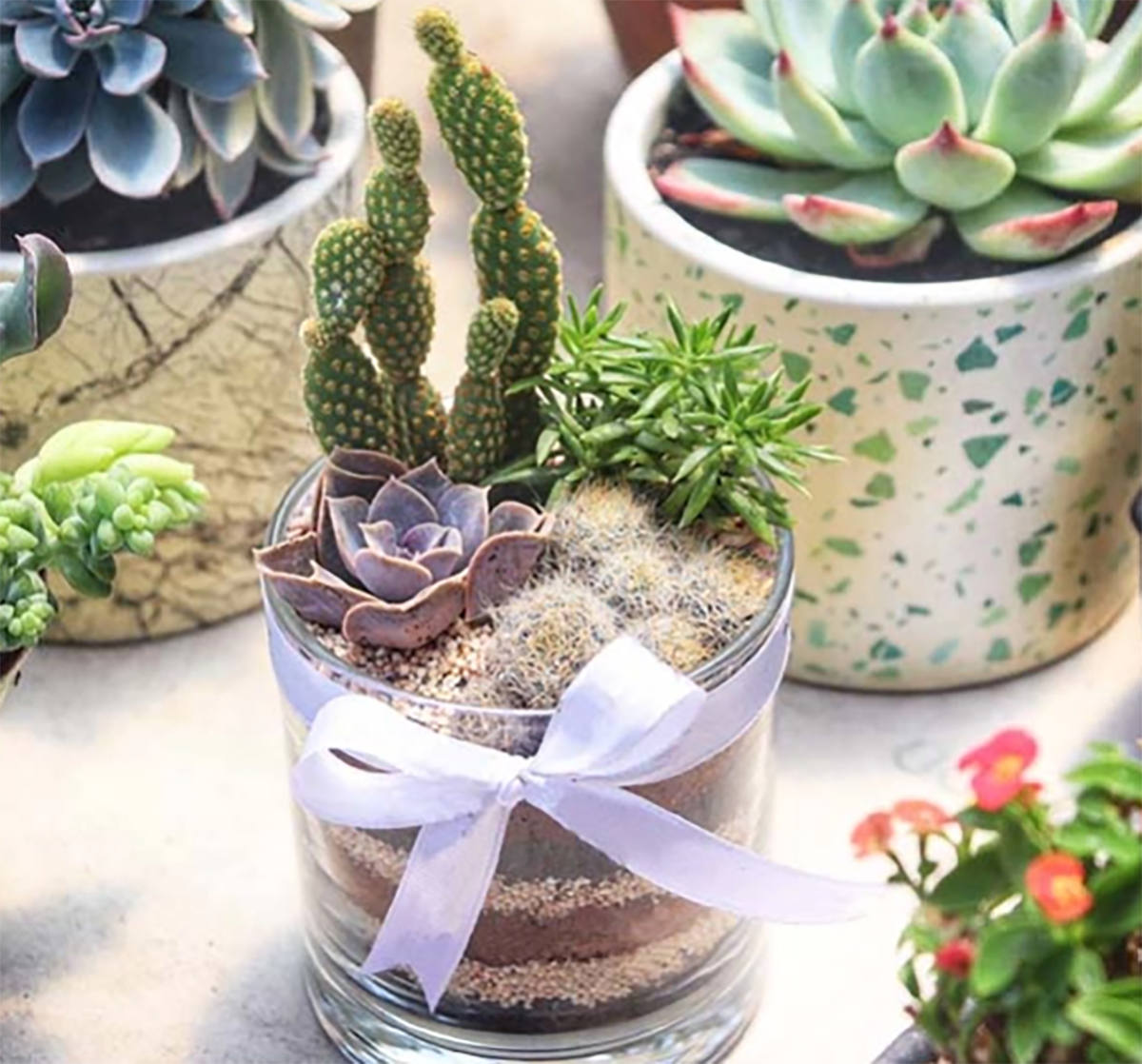 27 Ide Kado Wisuda yang Bermanfaat dan Murah di Bawah 100K