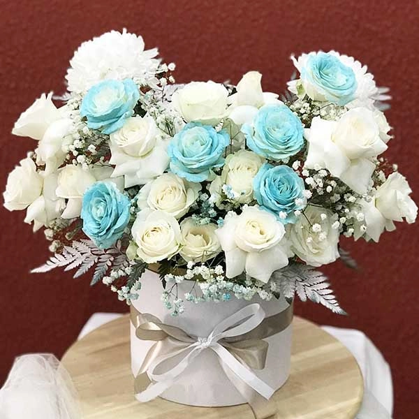 Jual Alice Blue | Delovery