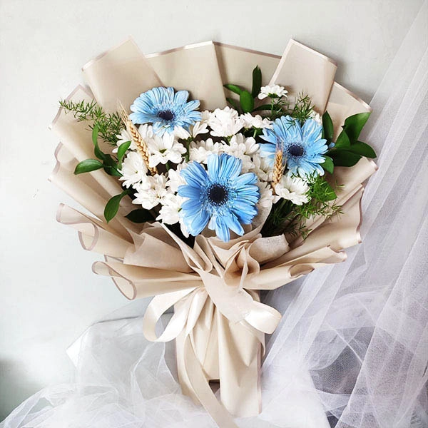 Jual Blue Starlight | Delovery