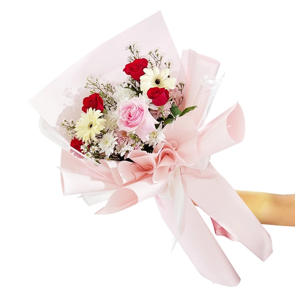Jual Blush Bloom in Harmony | Delovery