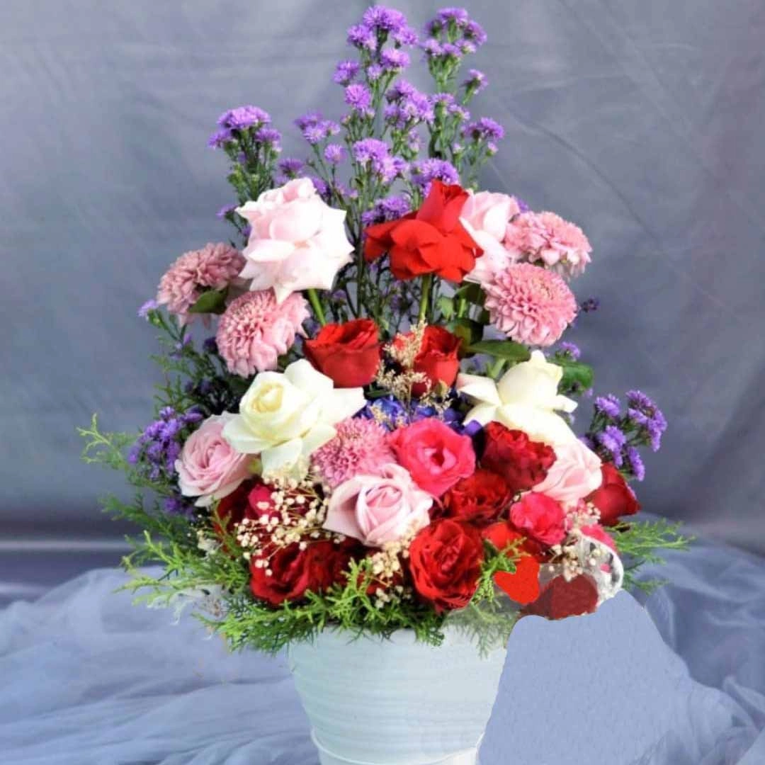 Jual Rose Mirabelle | Delovery
