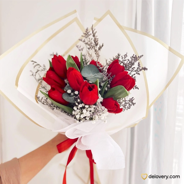 Jual Crimson Tulip Symphony | Delovery