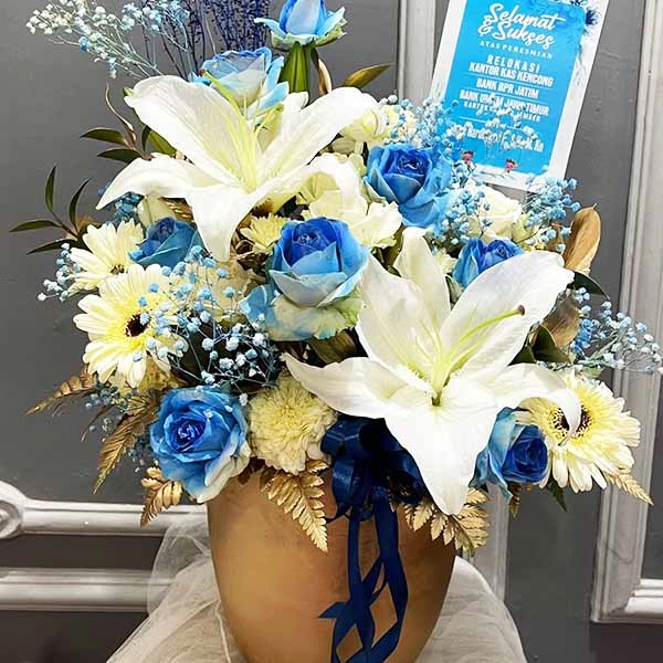 Jual Danica - Jember | Delovery