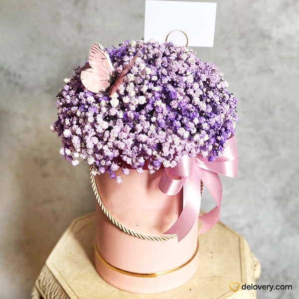 Jual Lilac Flutter | Delovery