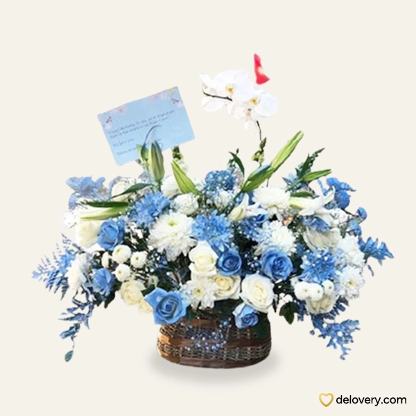 Jual Magnetic Blue | Delovery