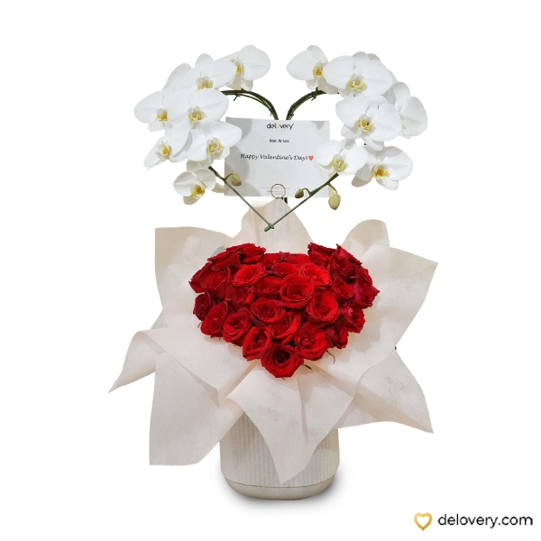 Jual Romance Timeless | Delovery