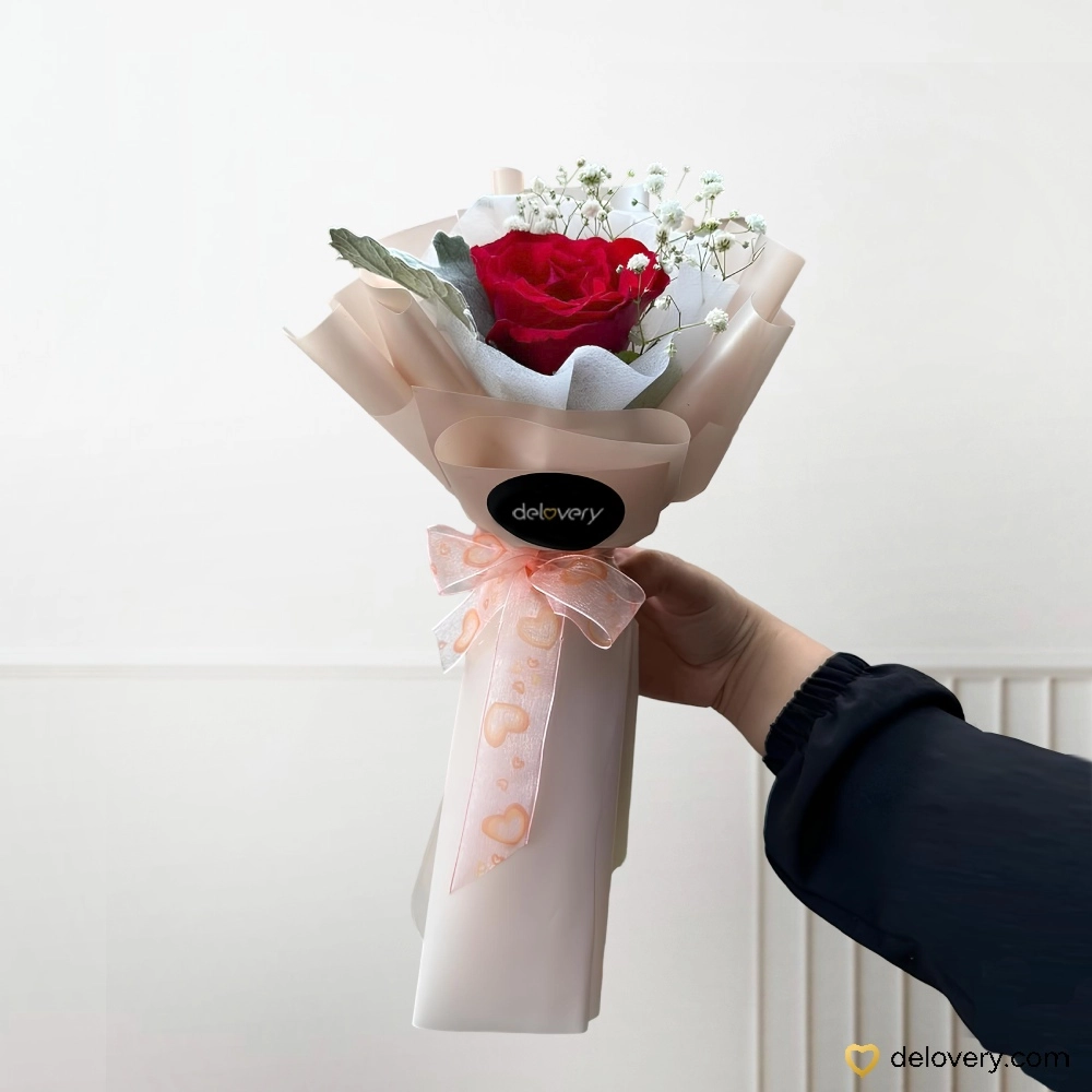 Jual Singular Love | Delovery