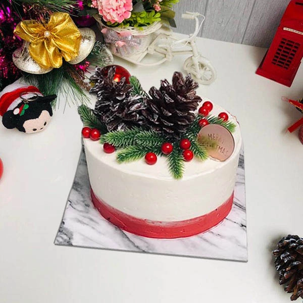 Jual Sparkling Cake | Delovery