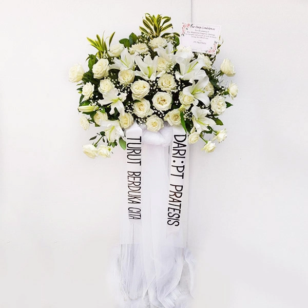 Jual White Harmony | Delovery